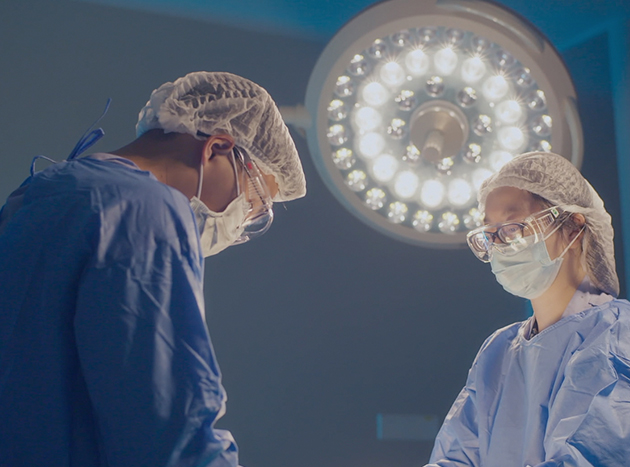 Large Animal (Non-rodent) PK Study - WuXi AppTec DMPK Service