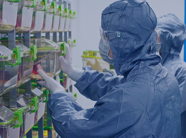 Rodent PK Study - WuXi AppTec DMPK Service