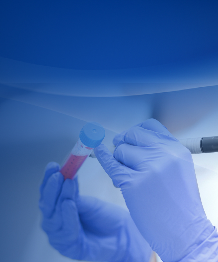 In Vivo MetID (Metabolite Profiling and Identification) - WuXi AppTec DMPK