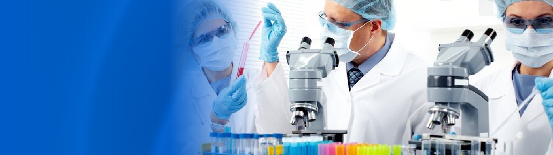 在CYP酶诱导实验中，如何获得更准确的EC50和Emax值？ - 药明康德DMPK