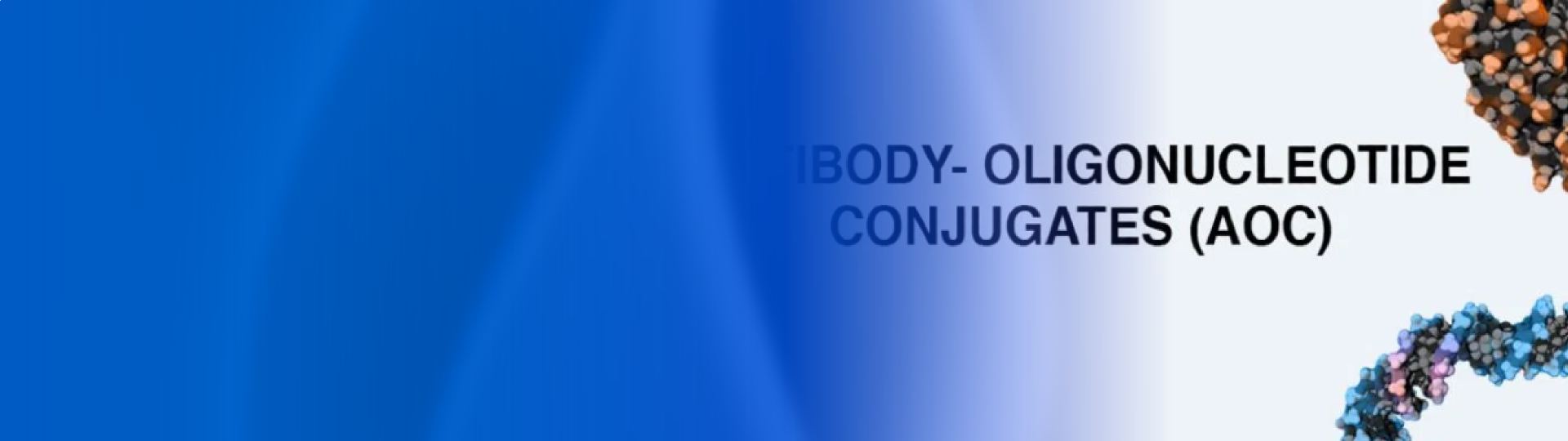 寡核苷酸偶联抗体（AOC）药物：靶向优势、药代动力学及生物分析策略 - 药明康德DMPK