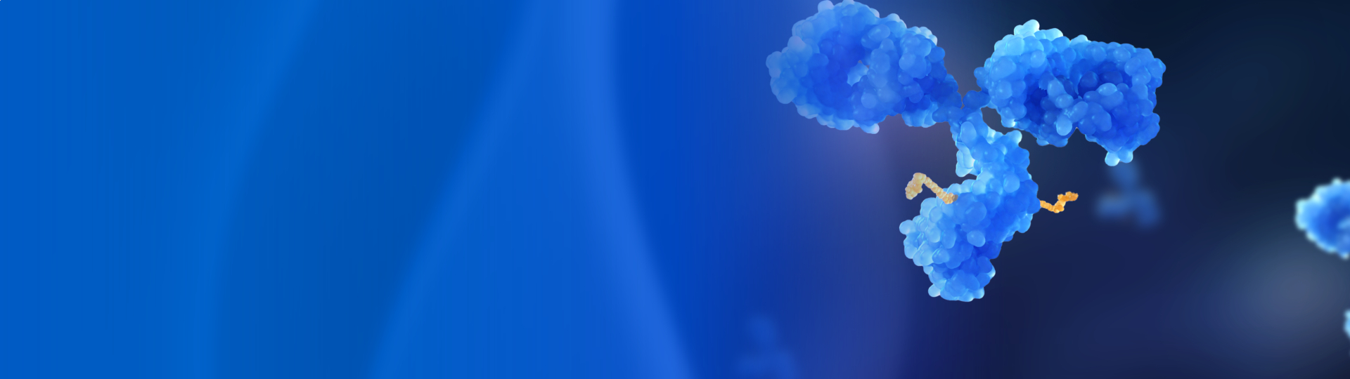 抗体偶联药物（ADC）临床前PKPD研究策略与实践 - 药明康德DMPK