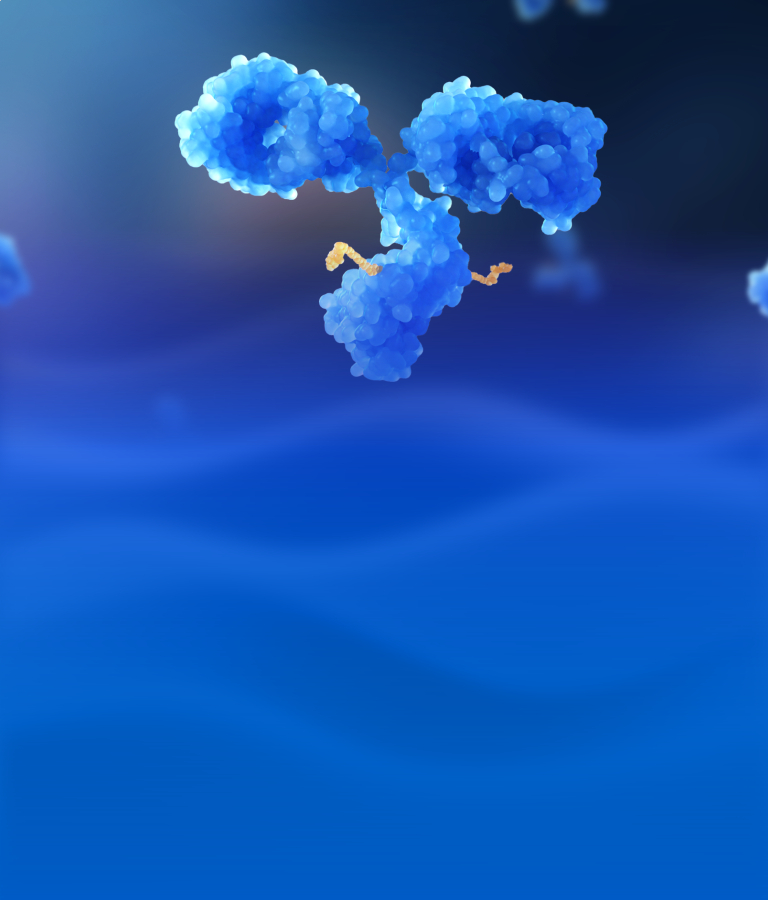 抗体偶联药物（ADC）临床前PKPD研究策略与实践 - 药明康德DMPK