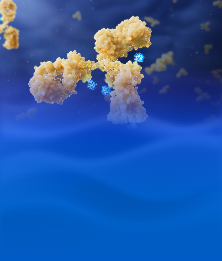 同时测定总抗和结合型载荷：ADC药物LC-MS/MS分析策略 - 药明康德DMPK