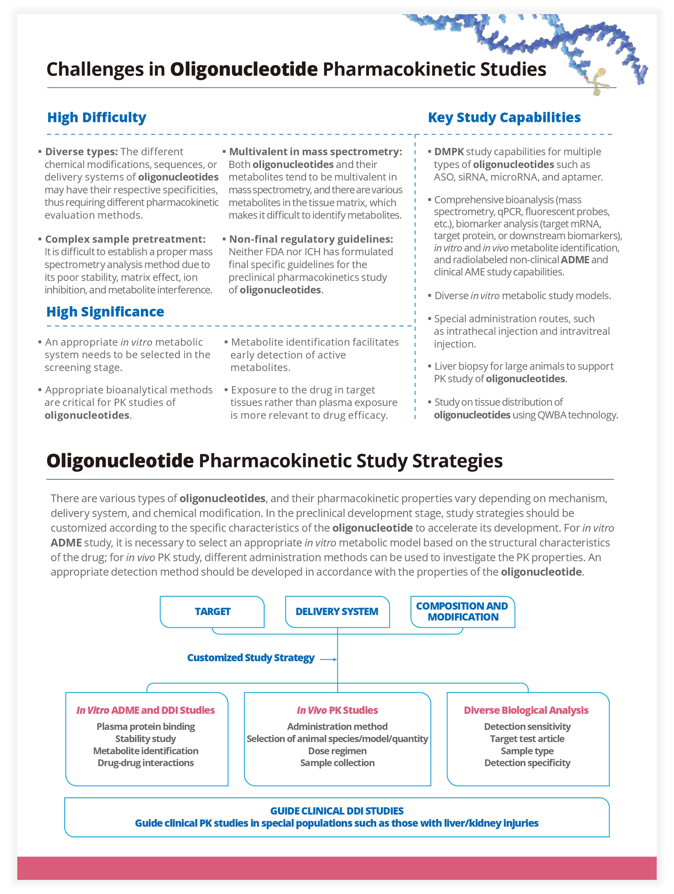 Preclinical Drug Development Testing for Oligonucleotide Drugs - WuXi ...