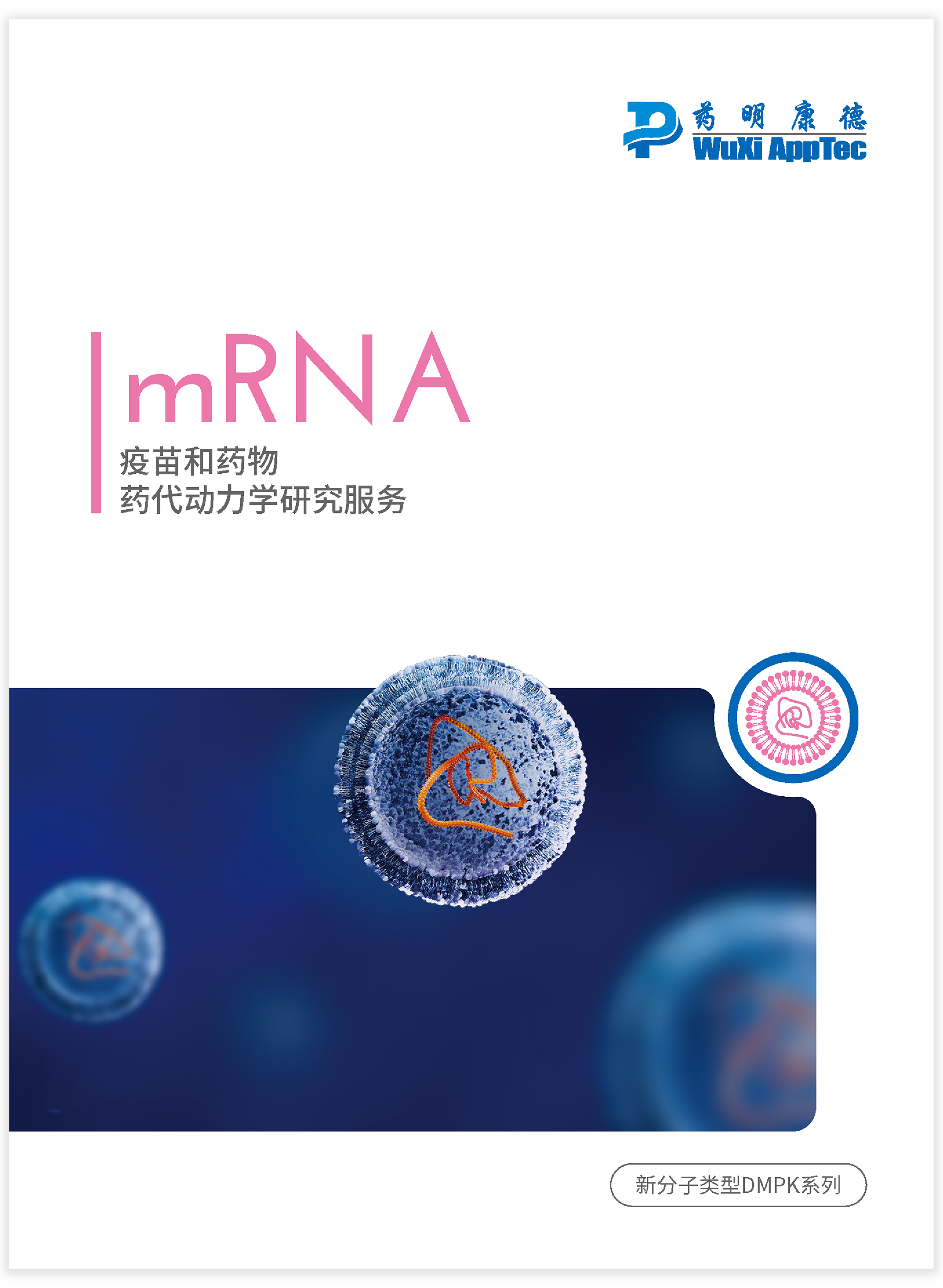 mRNA药物药代动力学研究服务-药明康德DMPK