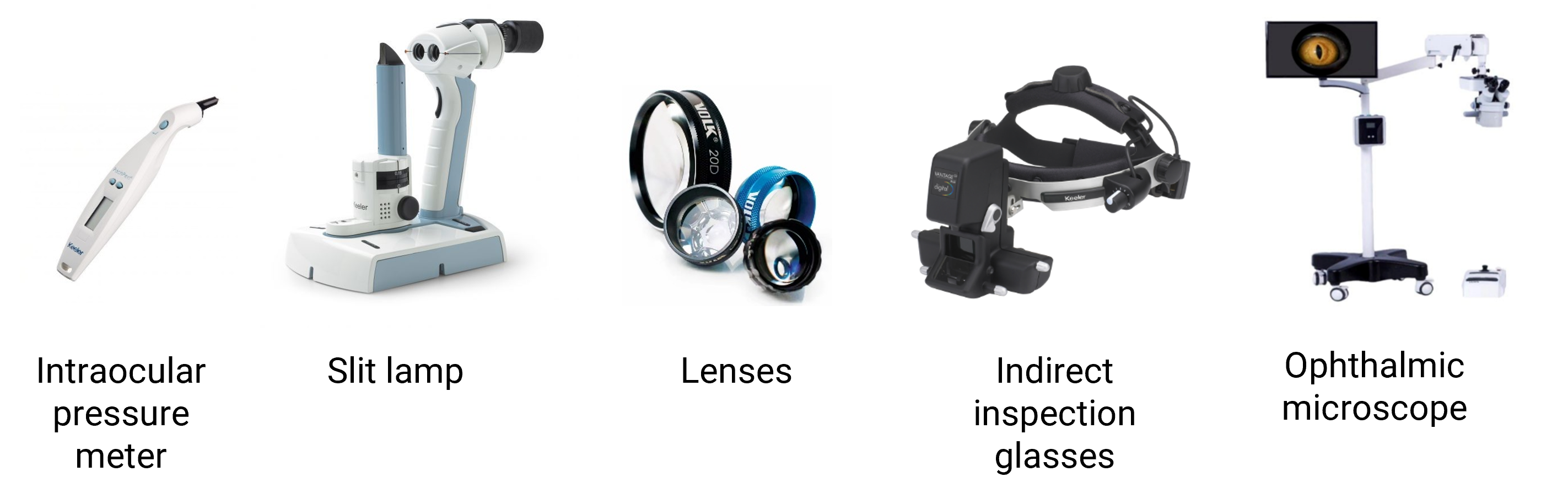 Exploration and Application of Methods in Ocular In Vivo PK Studies ...