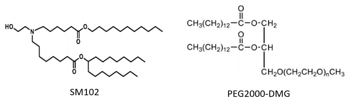上市mRNA疫苗临床前药代动力学数据解读-药明康德DMPK