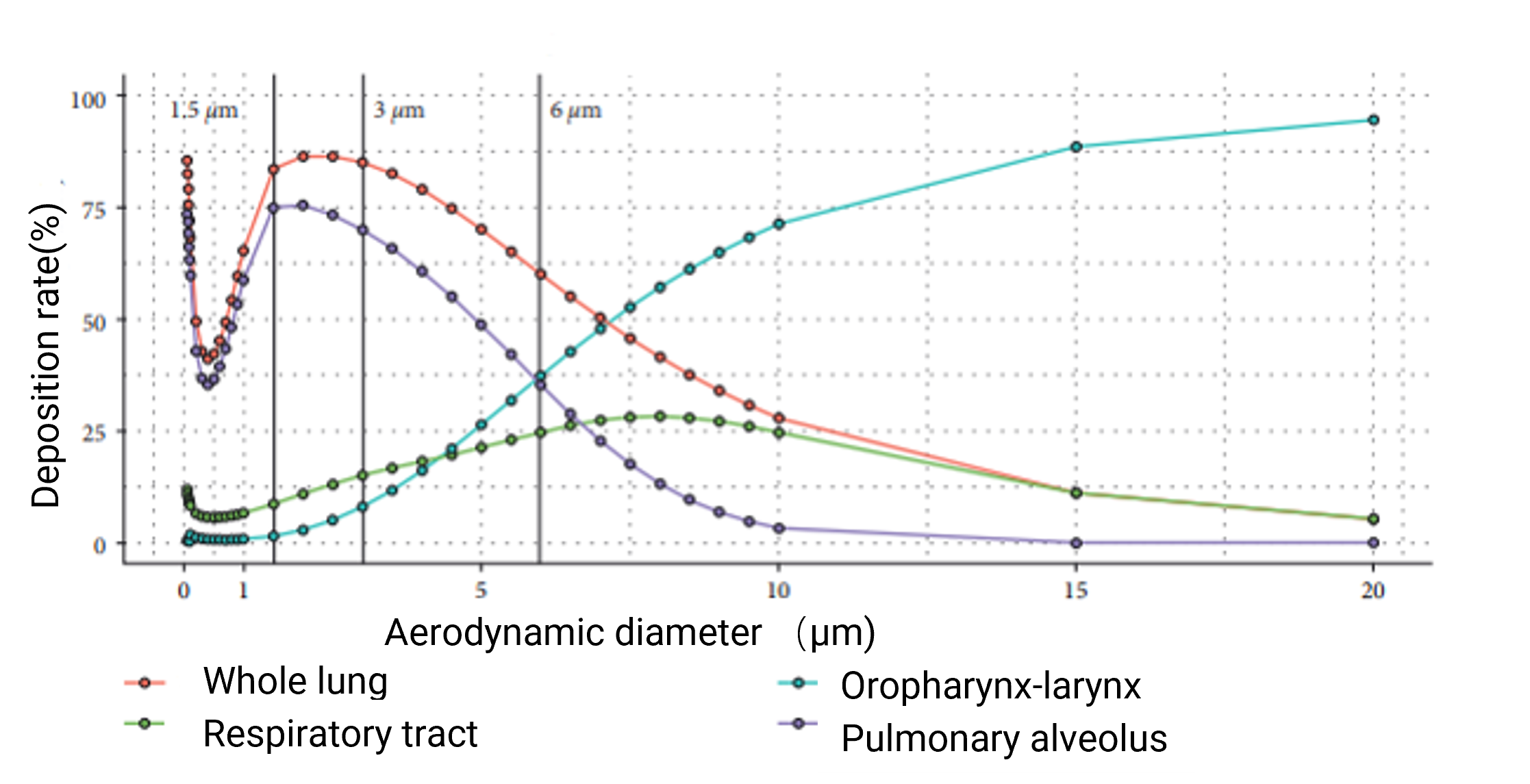 Inhaled Medications: Challenges and Strategies for Preclinical In Vivo ...