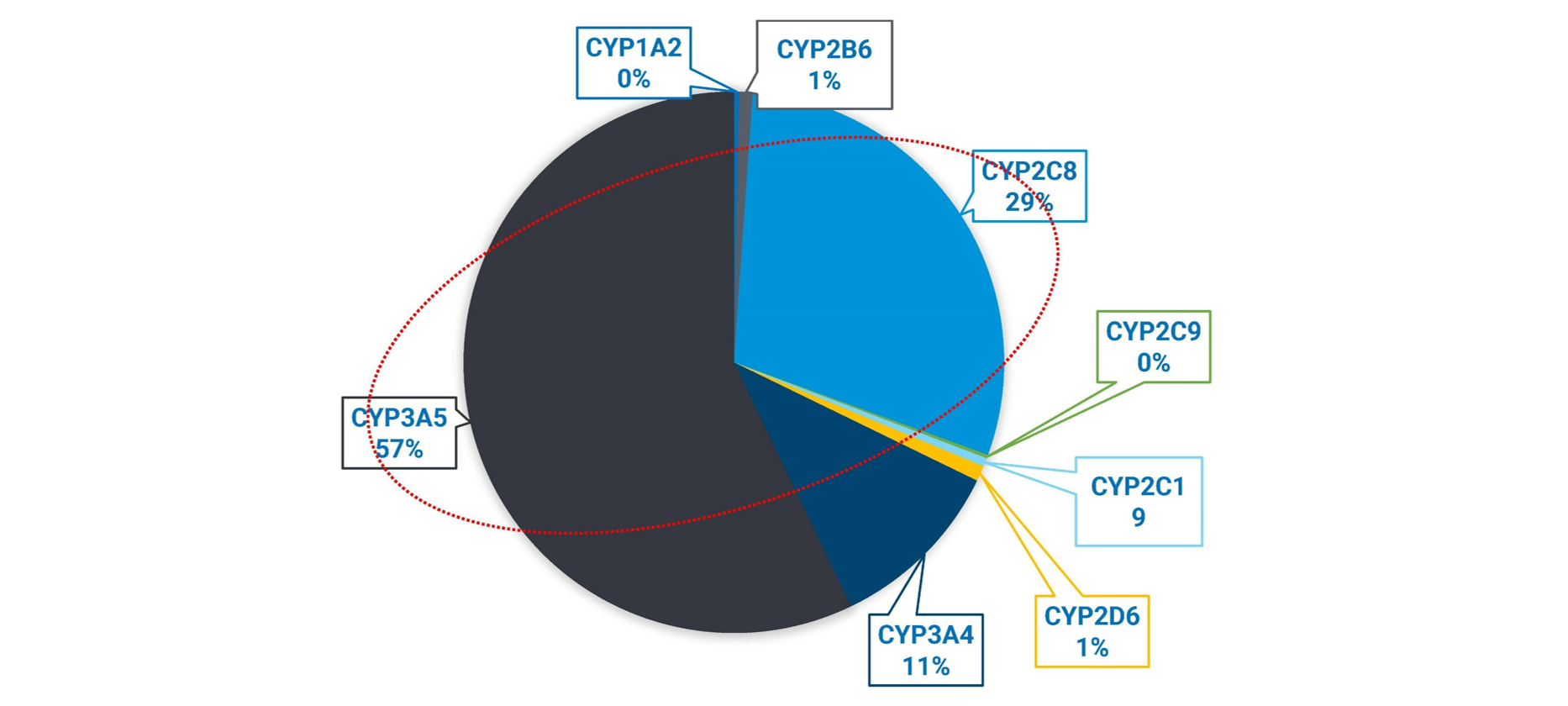 “罕见”CYP酶体系如何完善酶表型鉴定？-药明康德DMPK